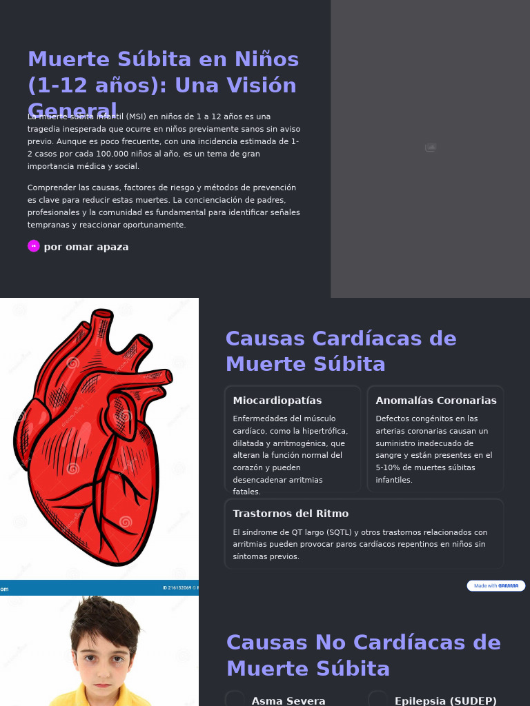 Muerte Súbita Infantil: Causas y Prevención | PDF | Paro cardíaco ...