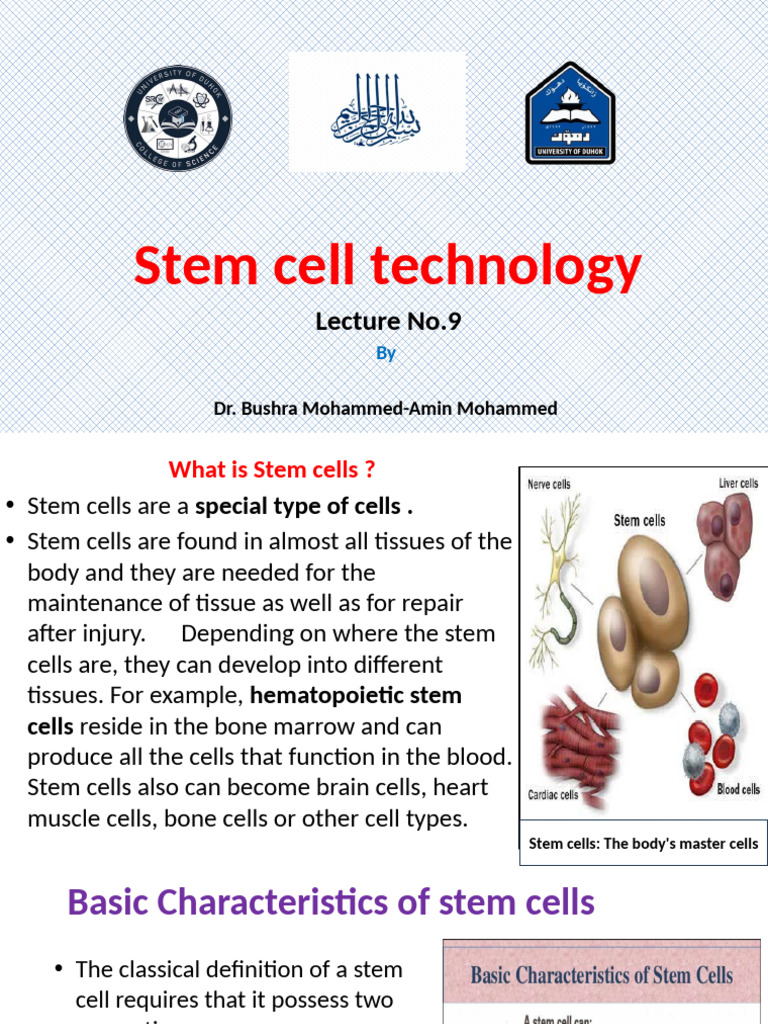 Lecture No.9 | PDF | Cell Potency | Stem Cell