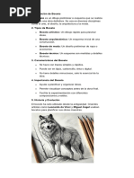 ¿Qué Es Un Boceto | PDF | Arte