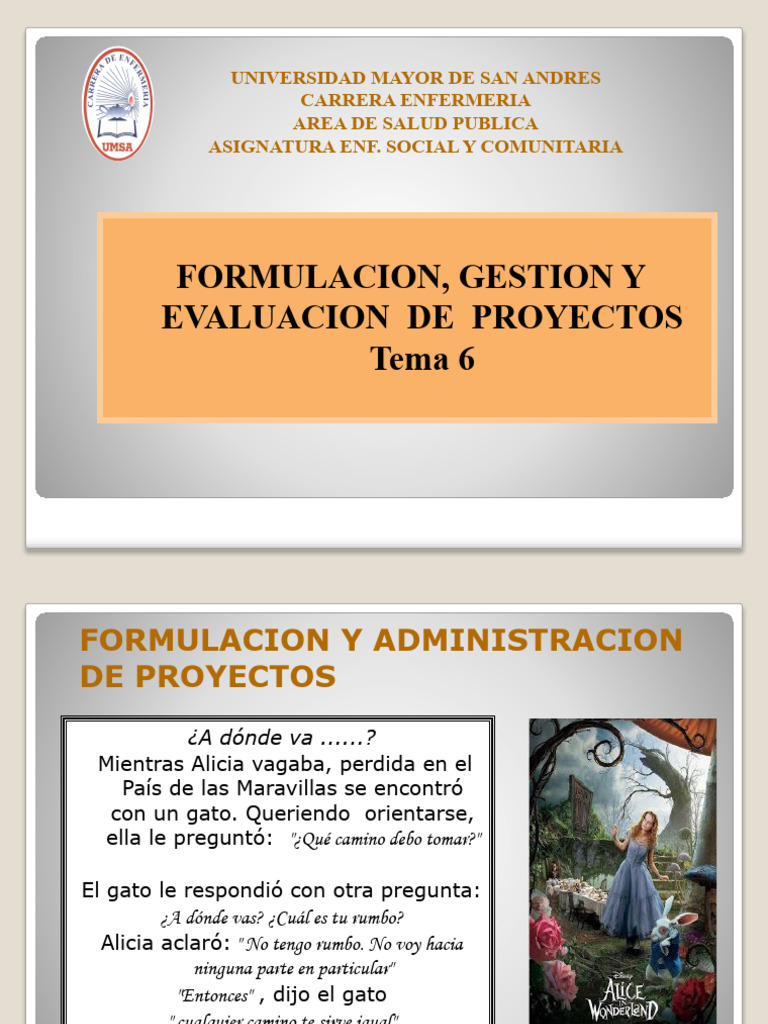 Tema 6 Formul-Gesti-N de Proyect | PDF | Estudio de factibilidad | Economias