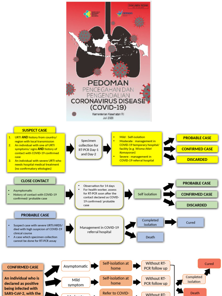 COVID19 Ina Flow - Eng | PDF | Clinical Medicine | Public Health