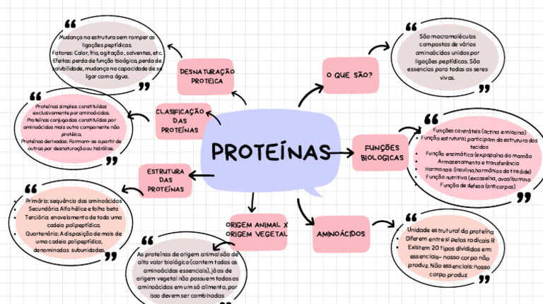 White and Pink Simple Mind Map Brainstorm PDF | PDF | Proteínas | Produtos naturais