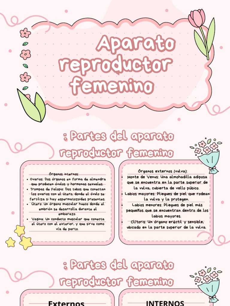 APARATO REPRODUCTOR FEMENINO | PDF | Ciclo menstrual | Sistema reproductivo