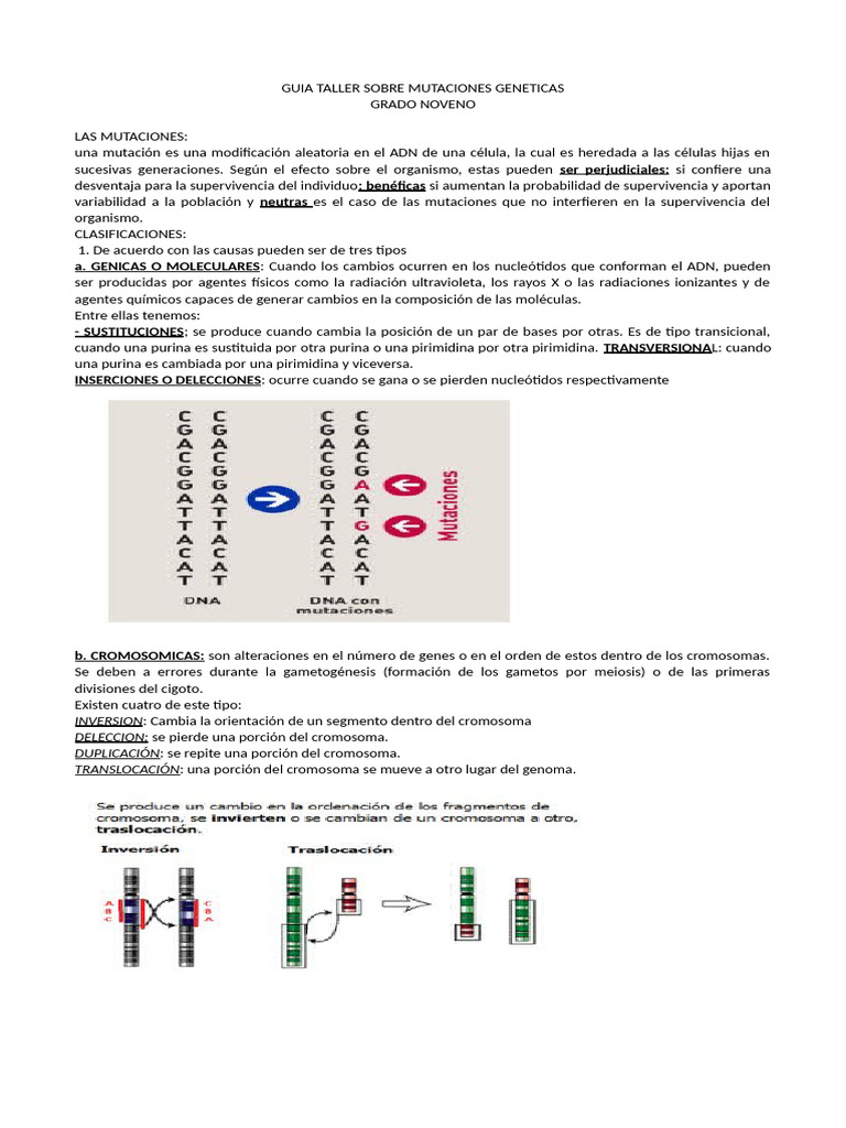 Guia Taller Sobre Mutaciones Geneticas | PDF | Mutación | Trastorno genético