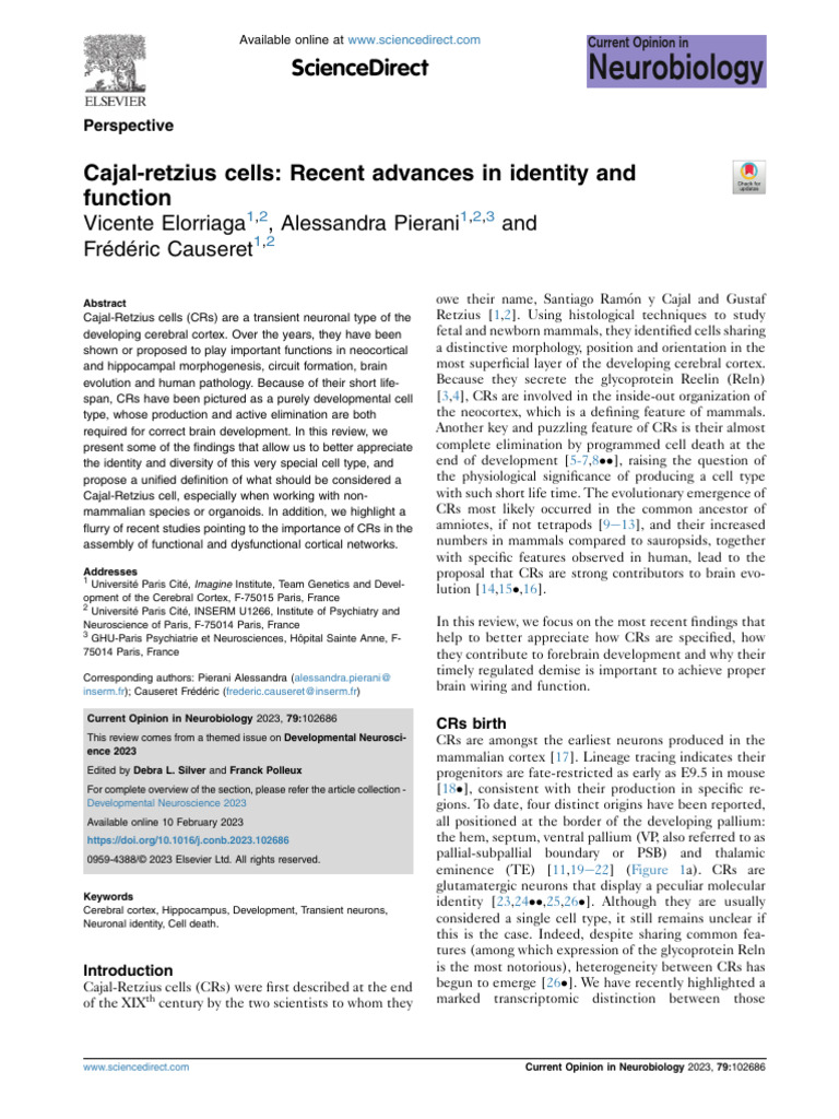 1 s2.0 S0959438823000119 Main | PDF | Hippocampus | Cerebral Cortex