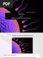 Meiosis Amoeba Sisters | PDF | Meiosis | Mitosis