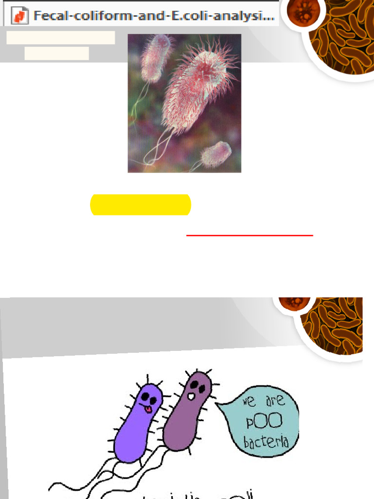 E. coli and Fecal Coliform Testing Guide | PDF | Escherichia Coli ...