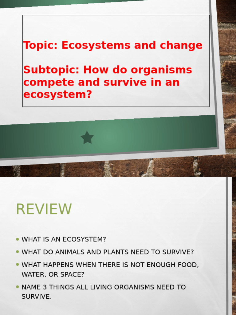How Do Organisms Compete and Survive in An Ecosystem | PDF