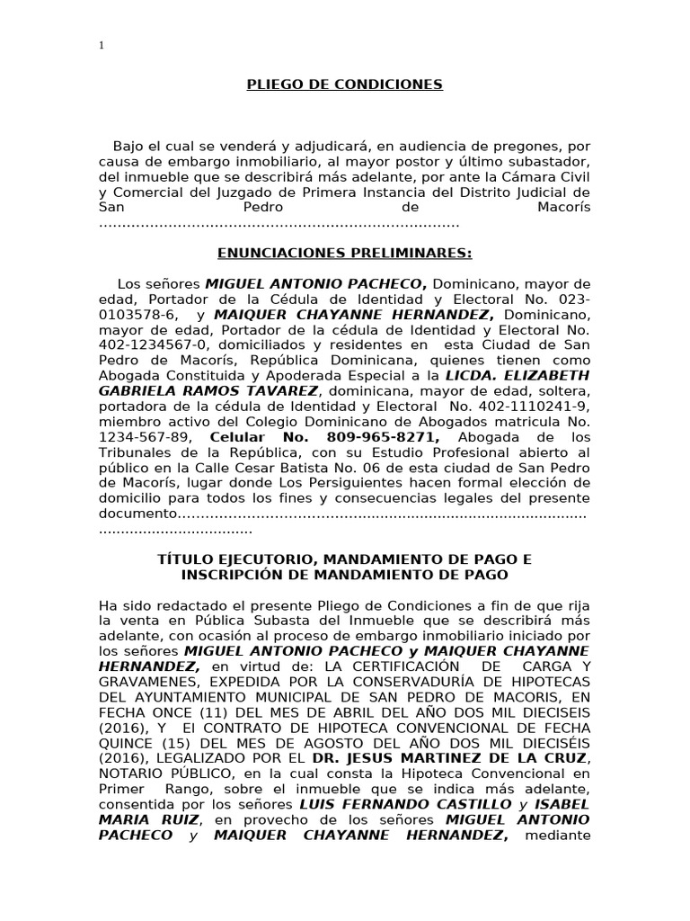 Pliego de Condiciones | PDF | Subasta | República Dominicana