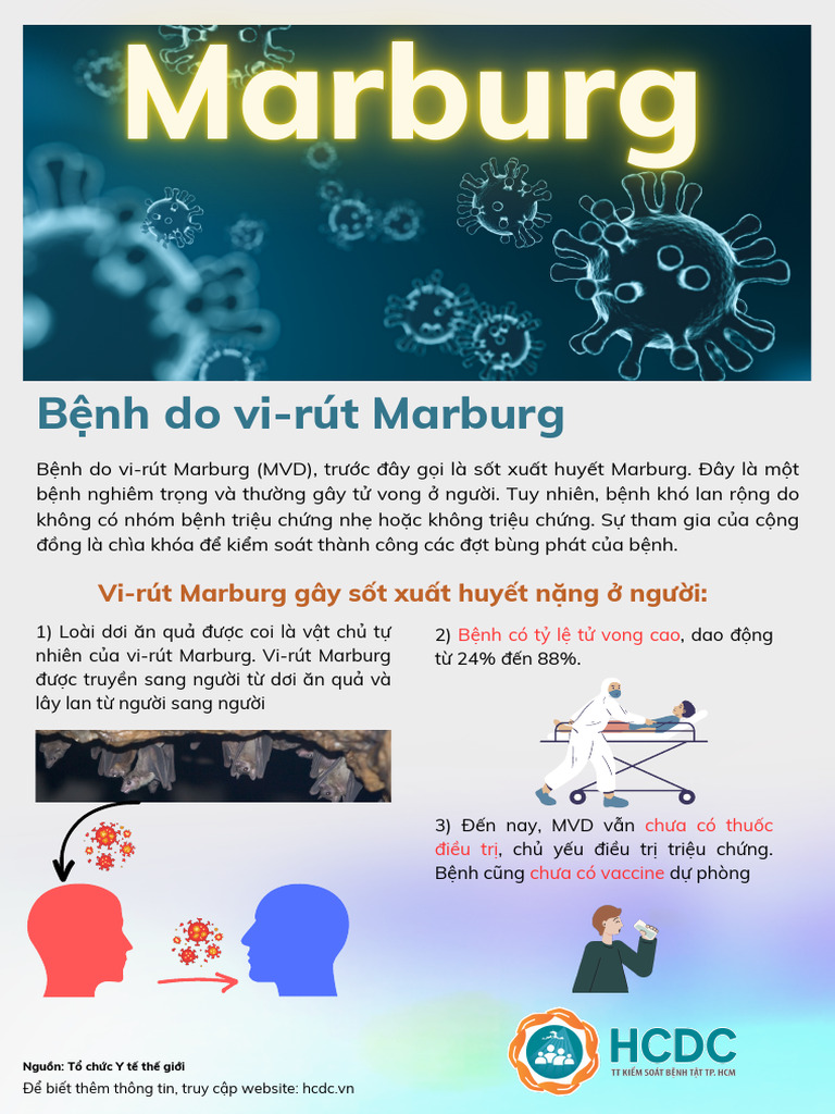 Marburg Virus | PDF