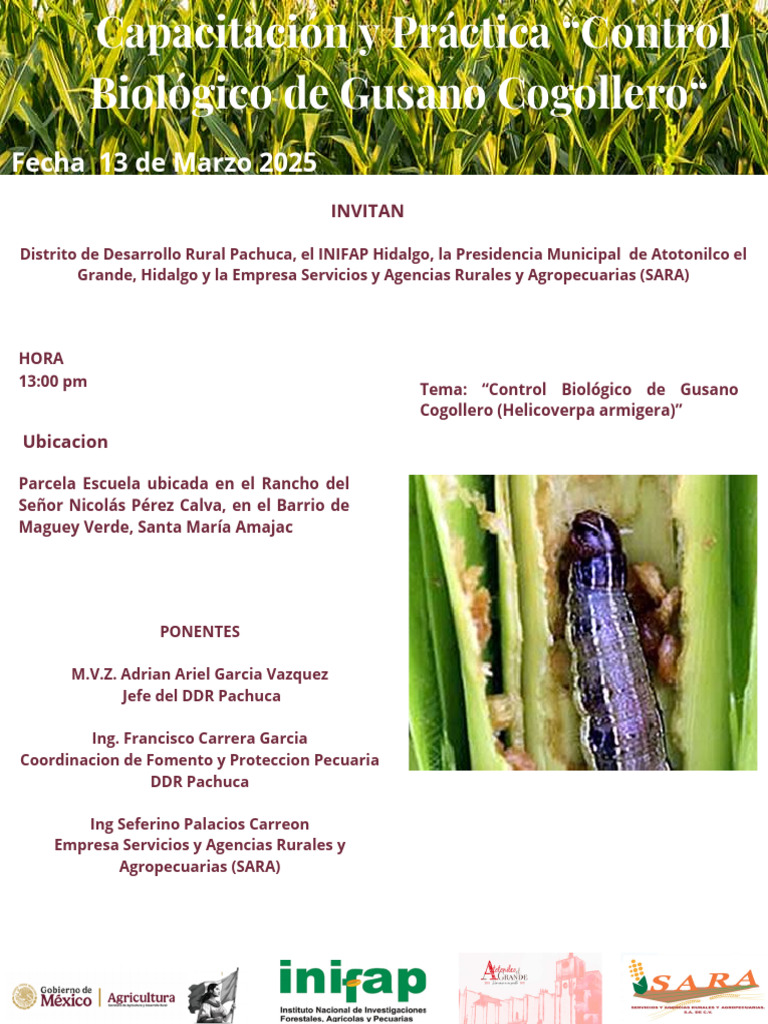 Flayer | PDF