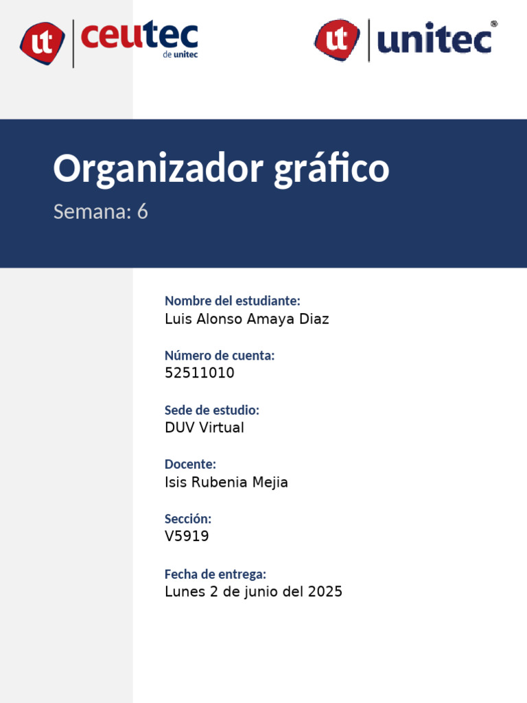 Organizador Grafico | PDF