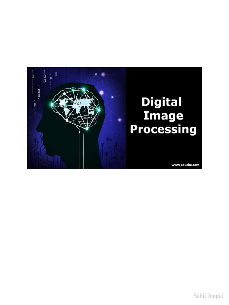 Digital Image Processing | PDF | Rgb Color Model | Image Resolution