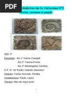 Secuencia Didáctica: Fósiles para Niños | PDF | Roca (geología) | Fósil