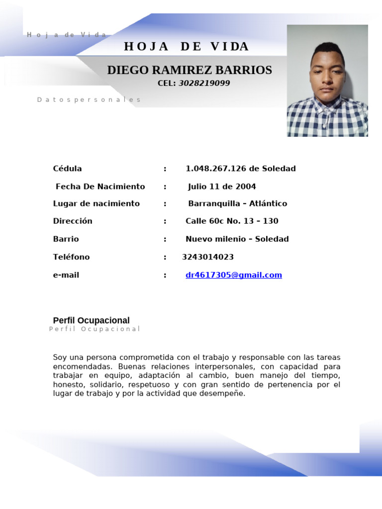 Hoja de Vida Diego Ramirez | PDF