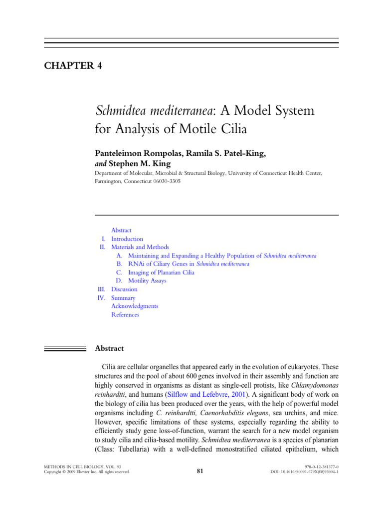 Planarian - Schmidtea Mediterranea - A Model System For Analysis of ...