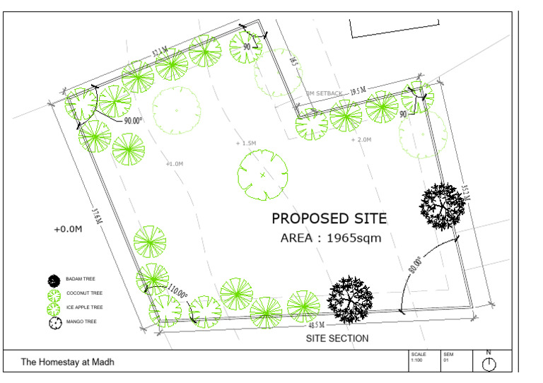 Proposed Homestay Site Plan and Section | PDF