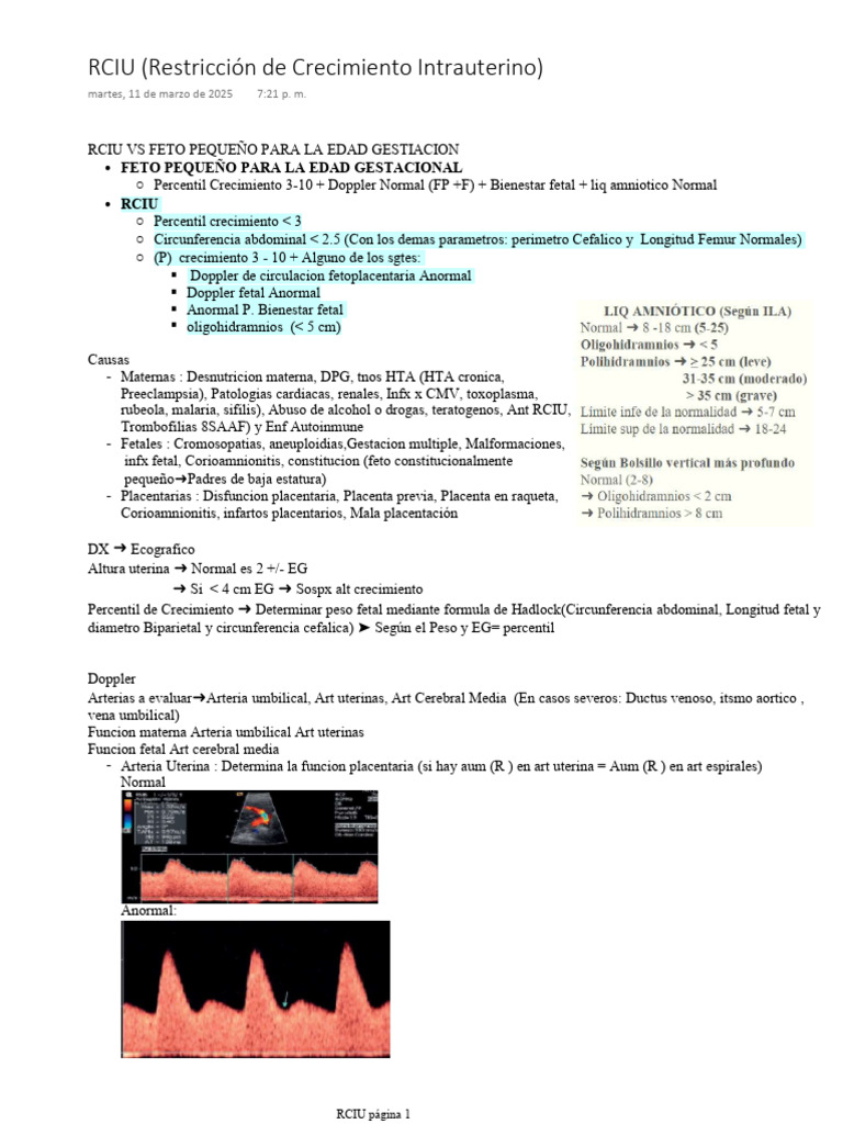 Rciu (Retardo Del Crecimiento Intrauterino) | PDF | Feto | El embarazo