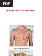 Understanding the Costal Arch Anatomy | PDF | Thorax | Thorax (Human ...