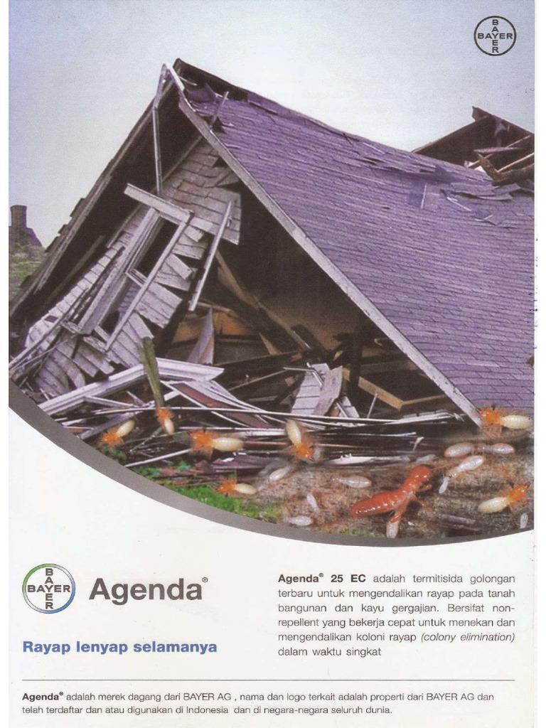 Agenda 25 Ec | PDF