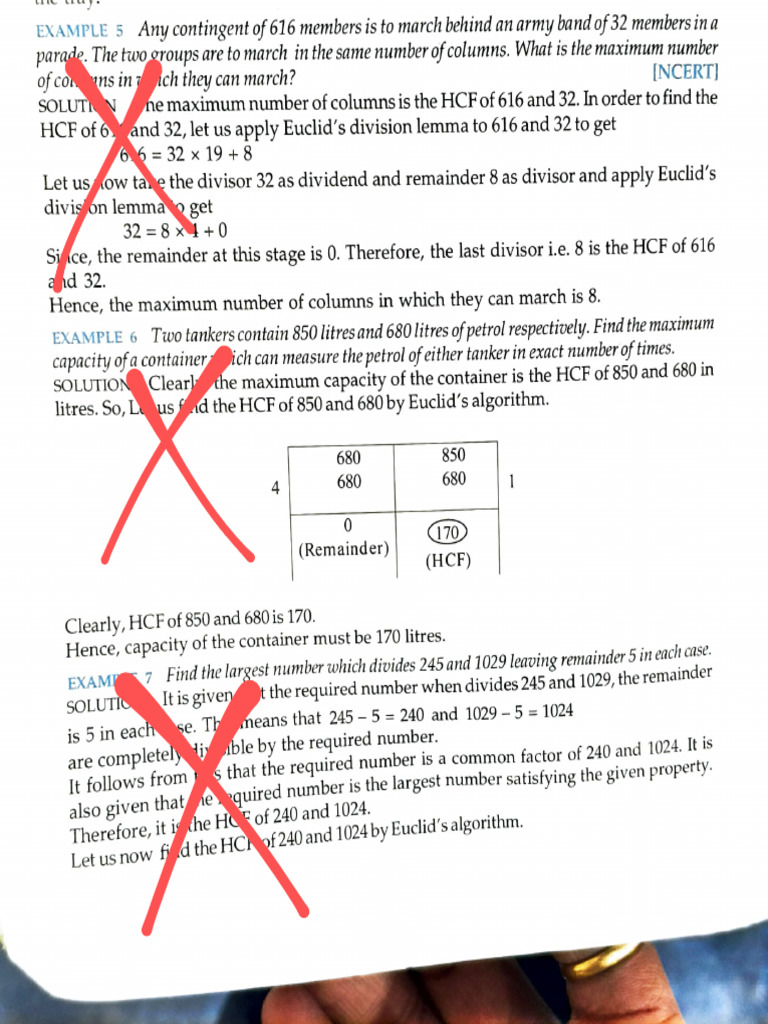 Most Important Questions Real Numbers | PDF | Elementary Mathematics ...