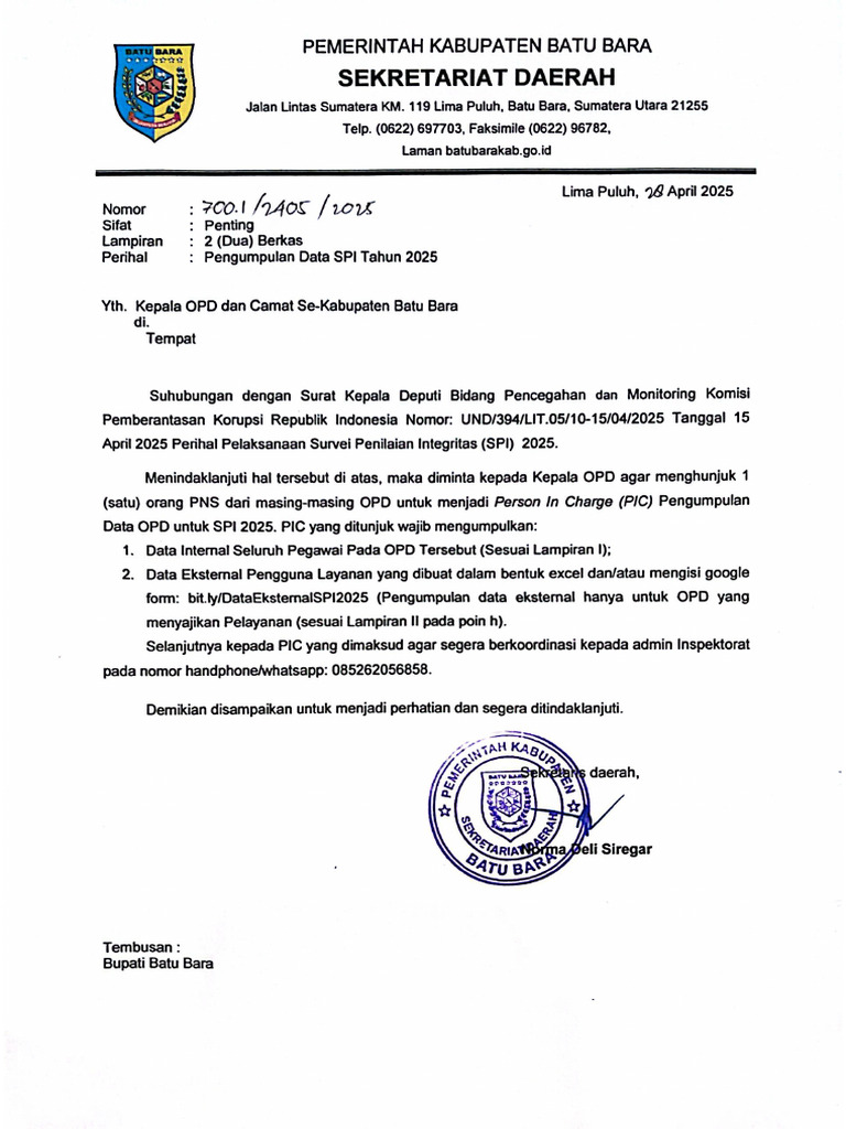 Surat Pengumpulan Data SPI 2025 | PDF