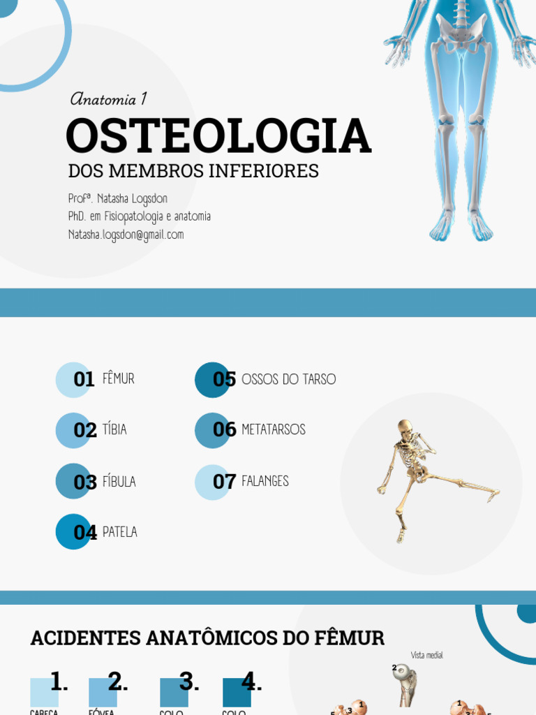 Aula 4.osteologia Dos MMII | PDF | Pélvis | Anatomia humana