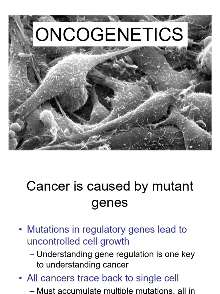 Genetics-II 08 (Oncogenetics) | PDF | Cell Cycle | Oncogene