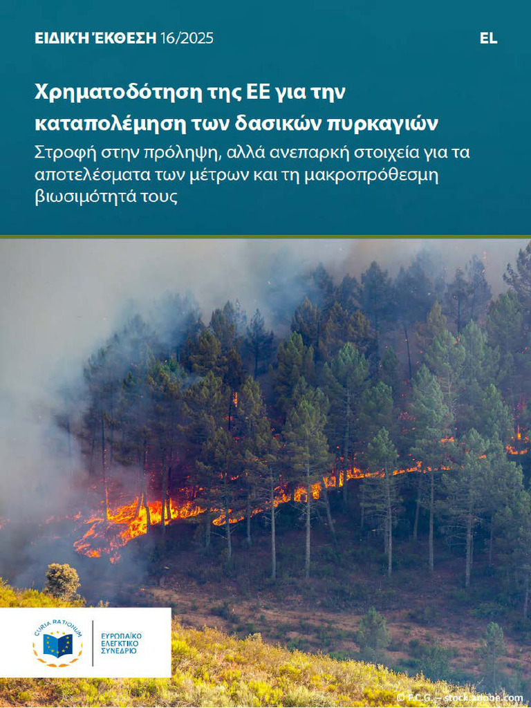 El Eca Report Forest Fires | PDF
