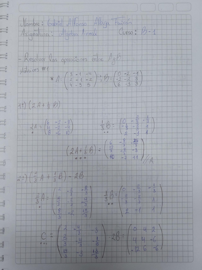 Tarea Algebra Matrices | PDF