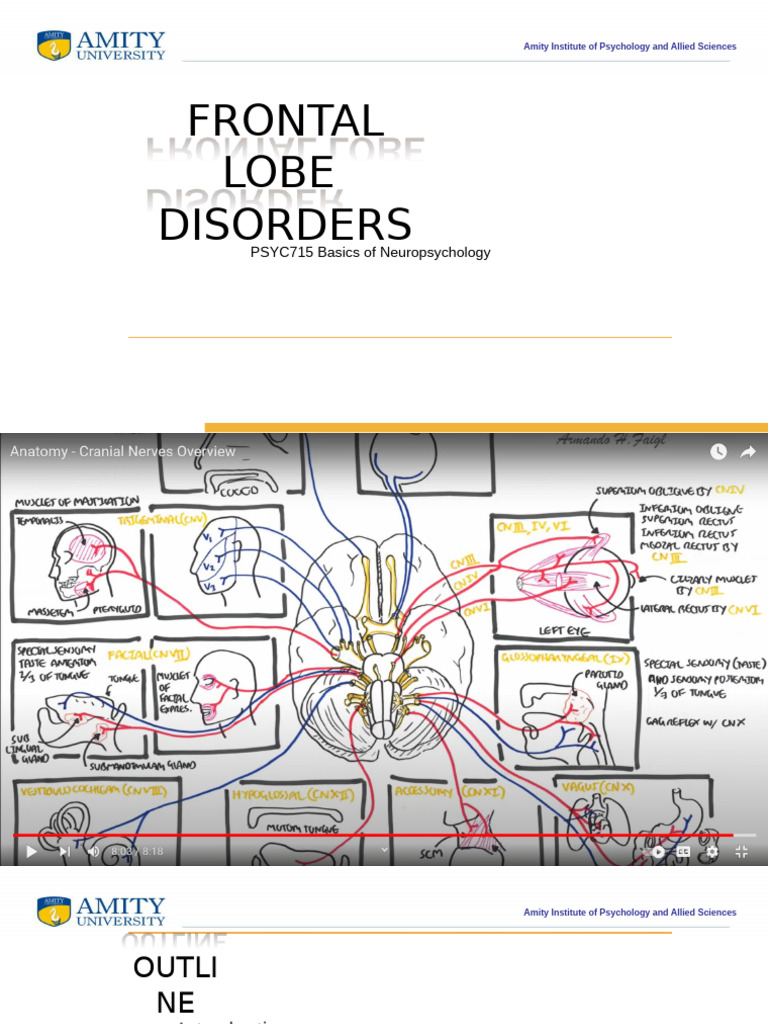 Module 3 Frontal Lobe Disorders | PDF | Frontal Lobe | Dorsolateral Prefrontal Cortex