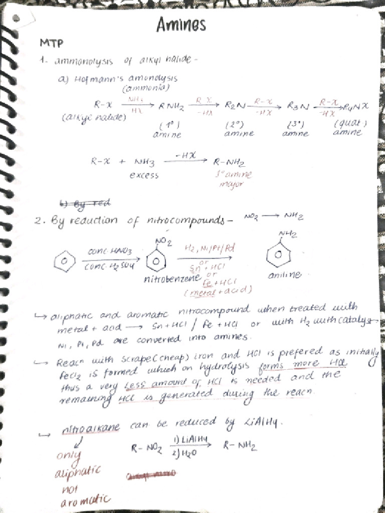 Amine Notes | PDF
