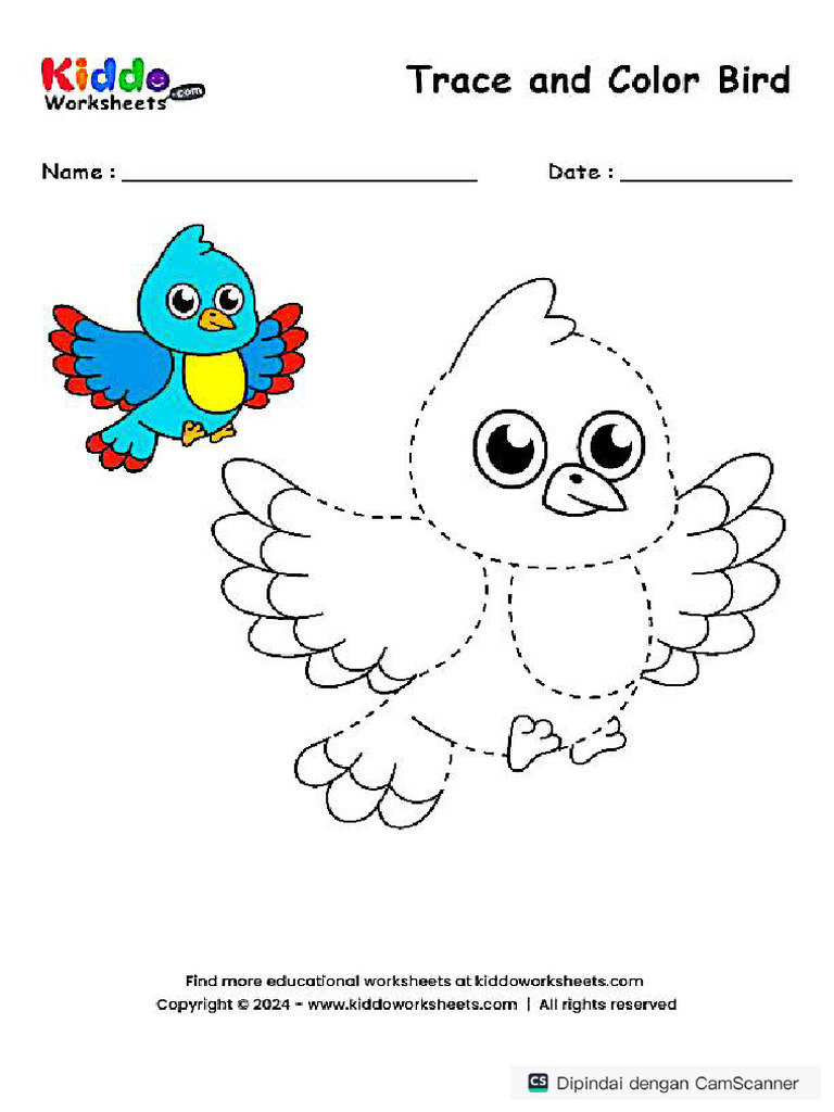 Mewarnai Burung | PDF