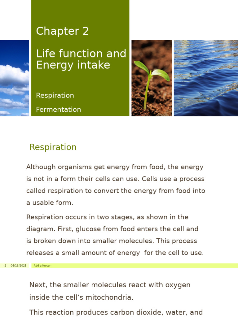 Chapter2 (Day 2) | PDF
