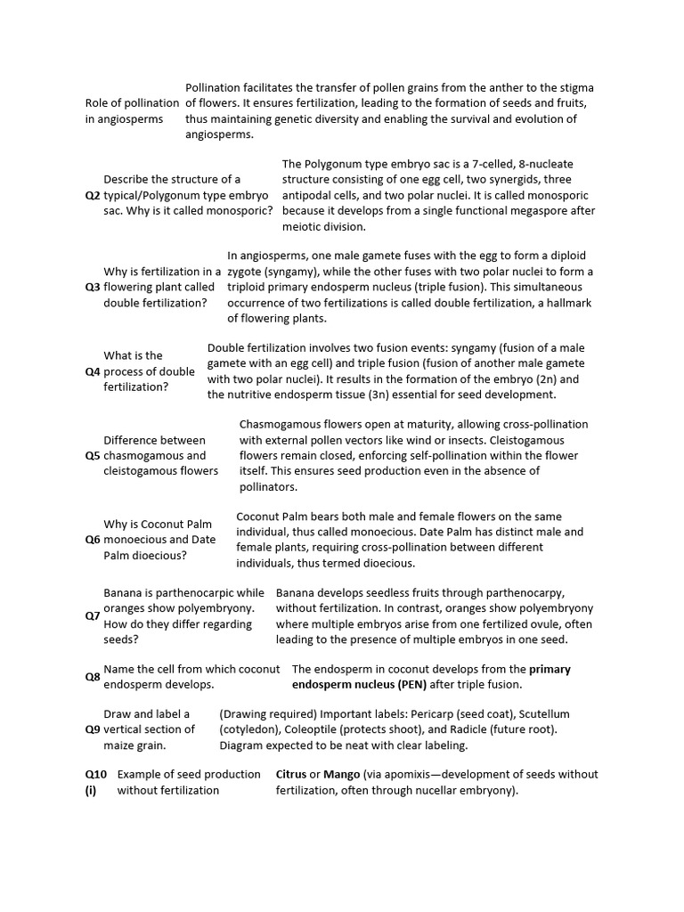 Role of Pollination in Angiosperms | PDF | Fertilisation | Seed