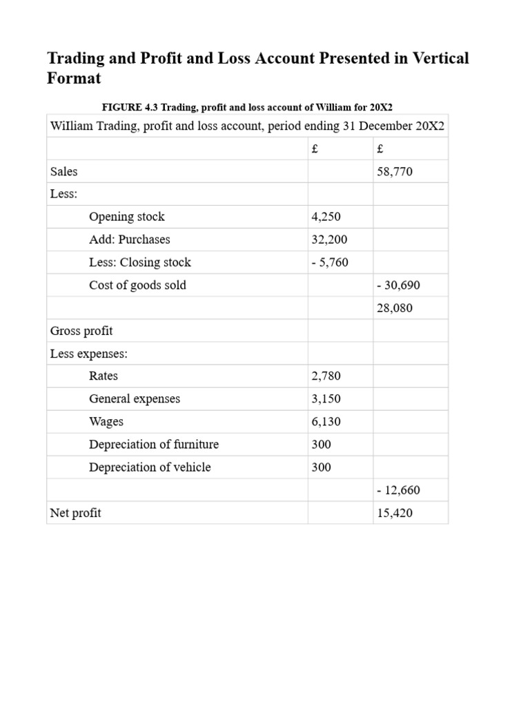 Vertical Trading Profit and Loss Format | PDF