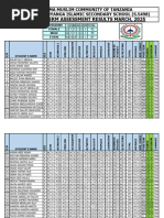 Final Grade 12 NSC Results Analysis | PDF