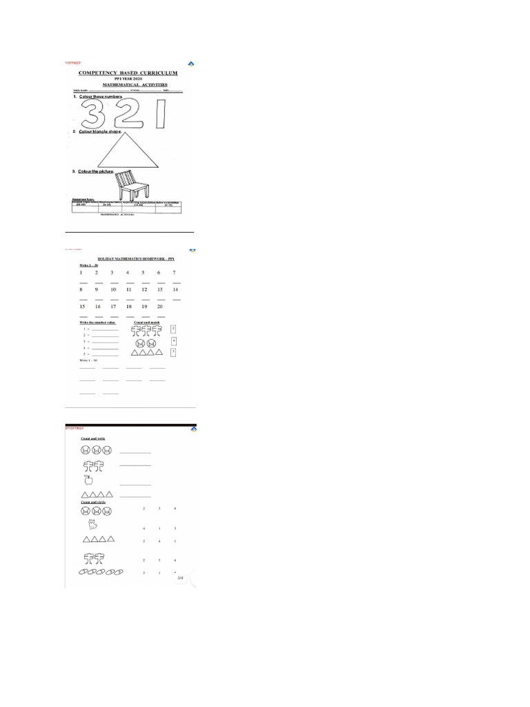 Pp1 Mathematics | PDF