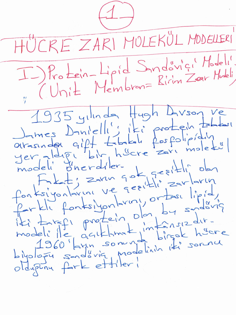 Hücre Zari 2 | PDF