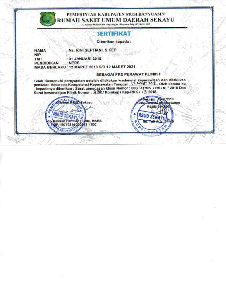 Rini Septiani, S.kep., Ns | PDF