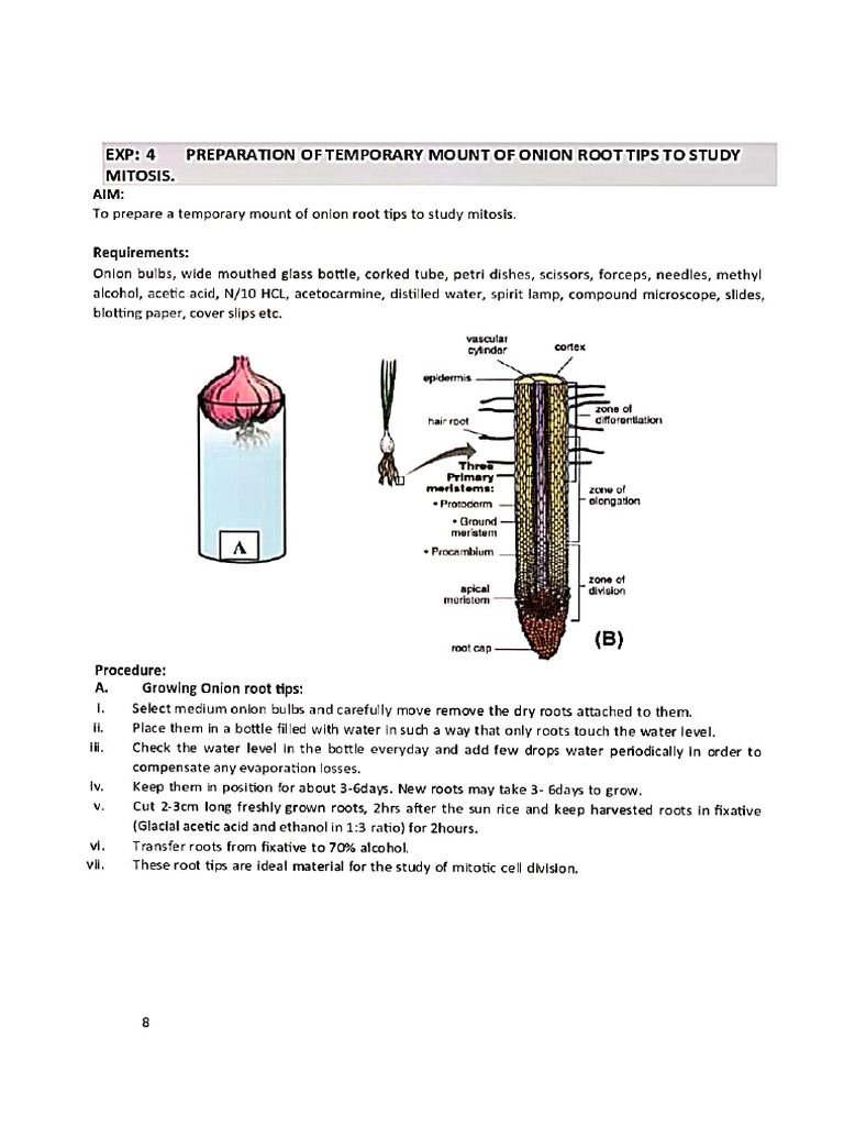 Biology Experiment No. 4 | PDF