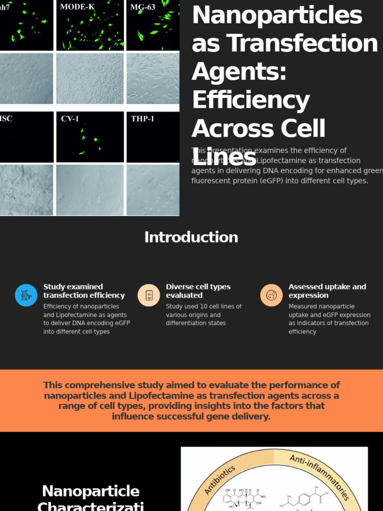 Beautiful - Ai - Nanoparticles As Transfection Agents Efficiency Across ...