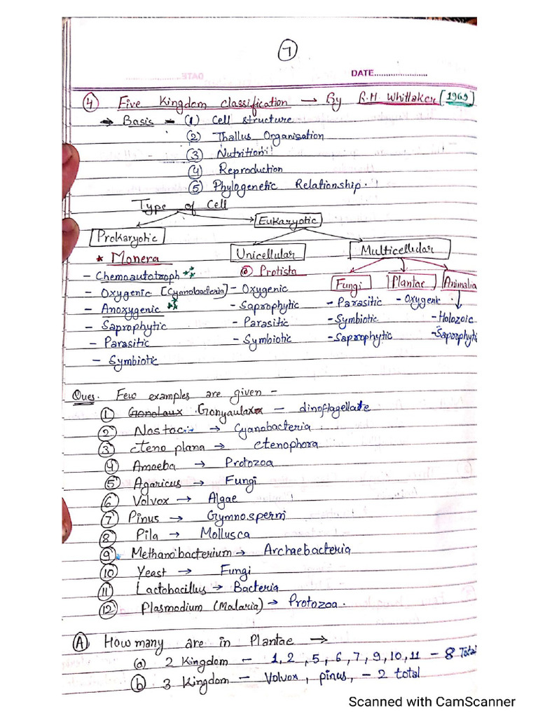 Biological Classification Short Notes From Tarin Sir Lecture | PDF