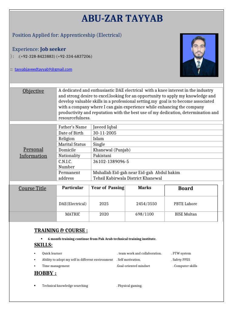 Abuzar Tayyab CV | PDF