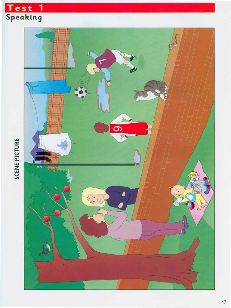 YLE Starters 7. Speaking Cards | PDF