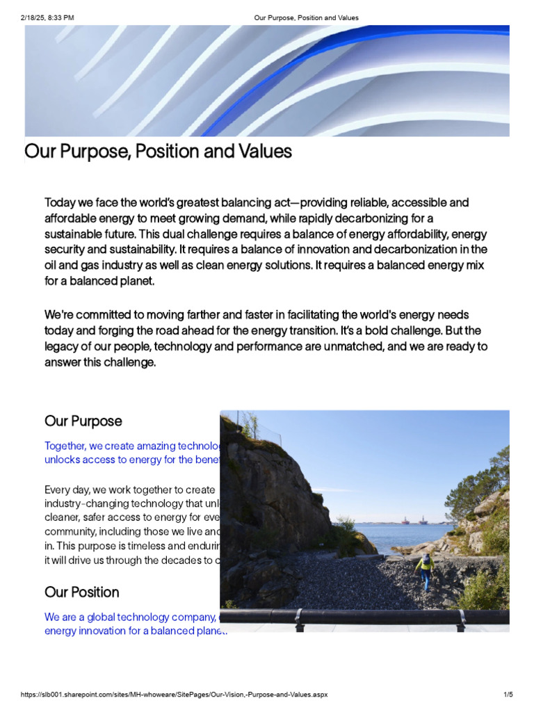 Our Purpose, Position and Values | PDF | Economies