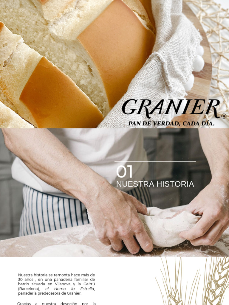 Presentación Granier | PDF | Panes | Marketing