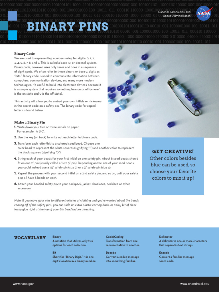 Binary Pins | PDF | Computer Data | Computing