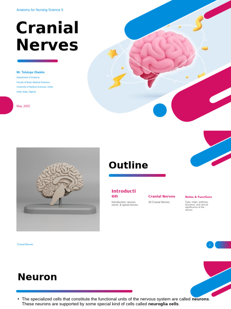 Cranial Nerve Functions and Significance | PDF | Nerve | Neuroanatomy