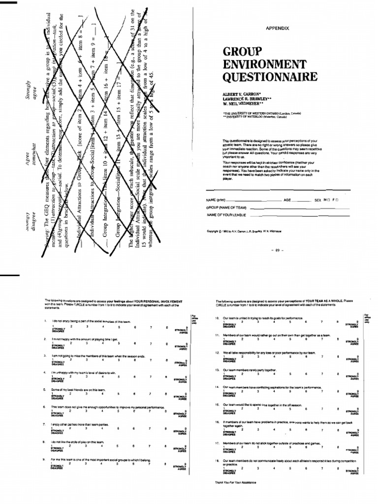 Geq Questionnaire | PDF